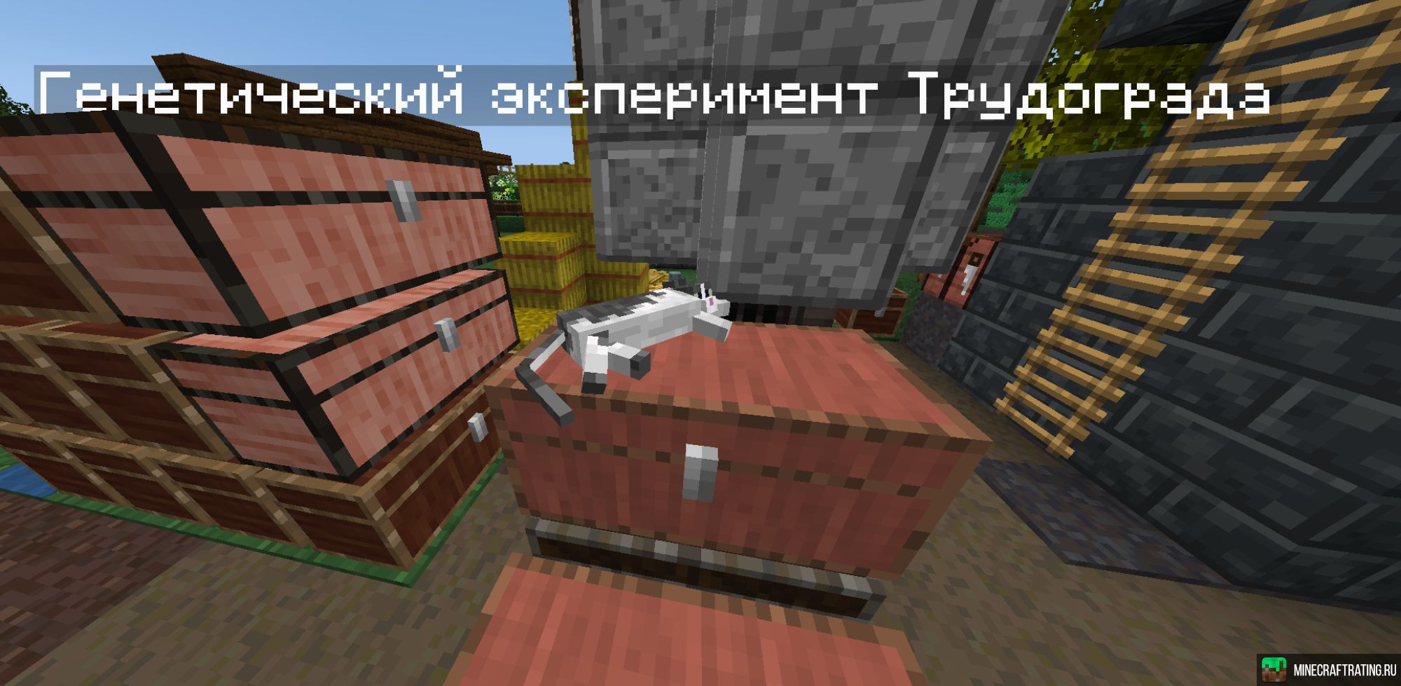 Primitive.su! TFC, Towny, Create. сервер Майнкрафт — мониторинг, ip адреса, топ серверов Minecraft
